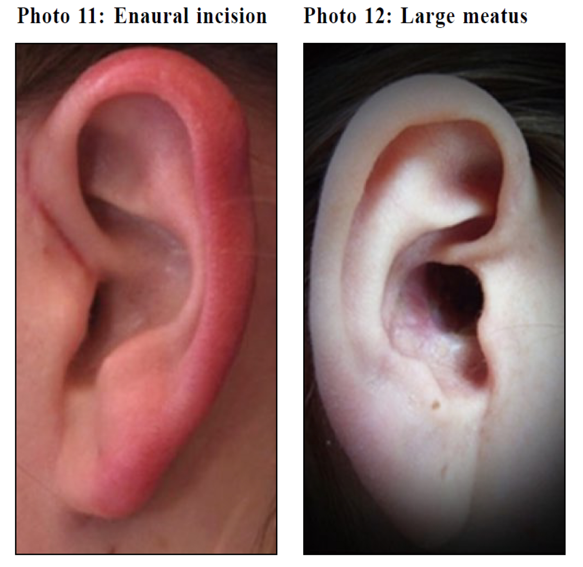 The Hong Kong Practitioner
